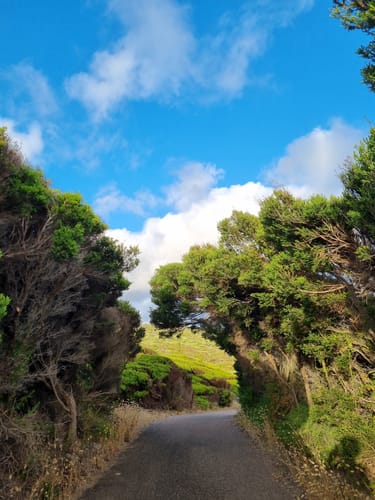 Best Hikes and Trails in Tanker Jetty Park | AllTrails