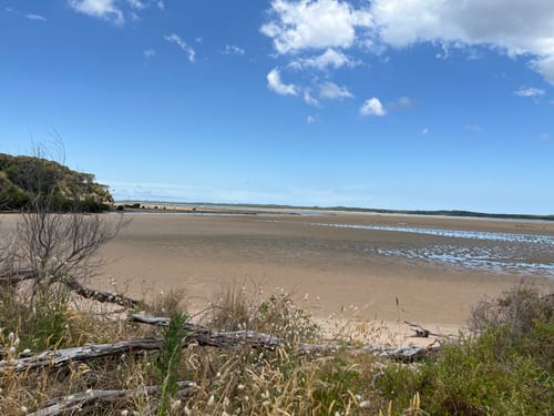 Best Hikes and Trails in Anderson Inlet Coastal Reserve | AllTrails