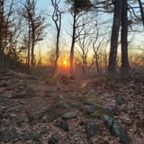 Mount Tom Tower Trail, Connecticut - 294 Reviews, Map | AllTrails
