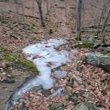 Mount Tom Tower Trail, Connecticut - 294 Reviews, Map | AllTrails