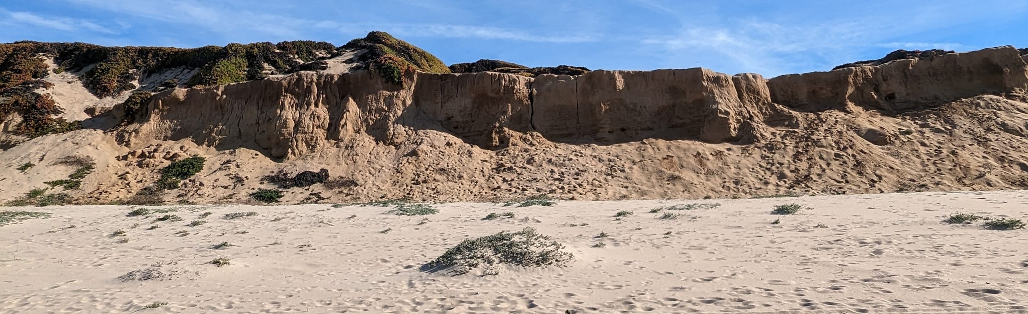 Marina Dunes: 34 Reviews, Map - California | AllTrails