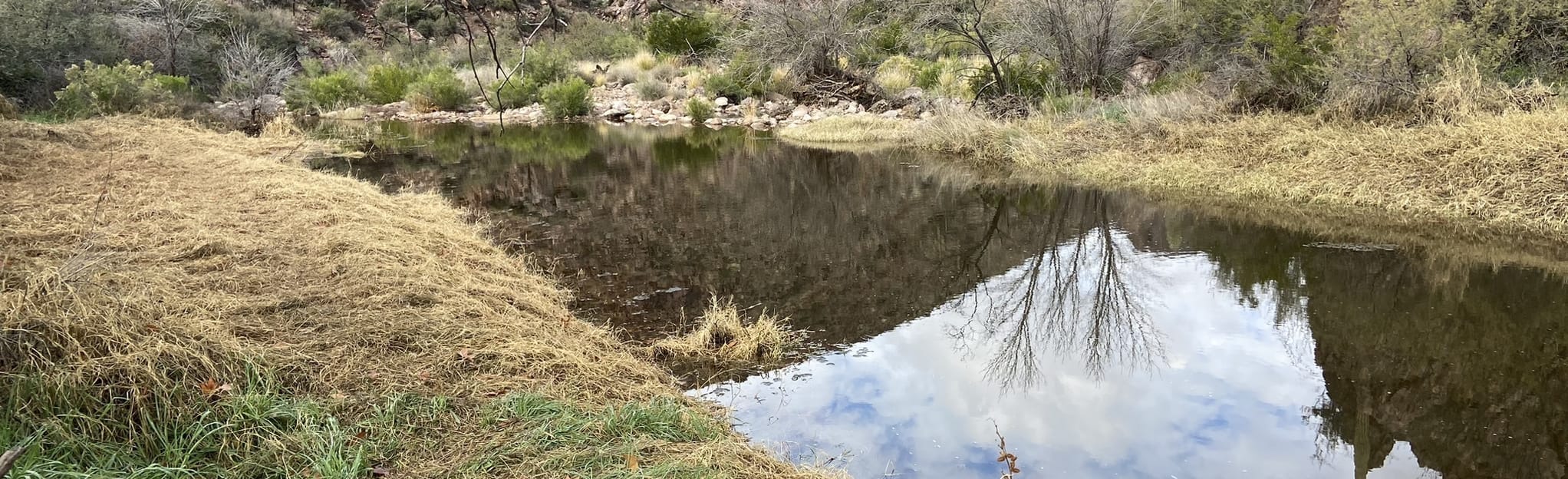 First Water Road to Peralta Trailhead, Arizona - 20 Reviews, Map ...