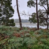 Moorabool Reservior Loop, Victoria, Australia - 20 Reviews, Map | AllTrails