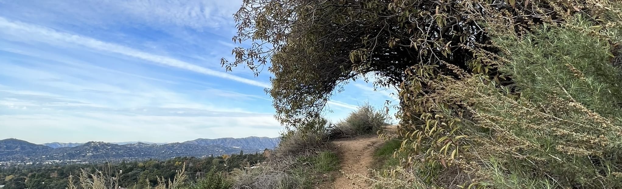Old Edison Road and Lone Tree Trail: 135 Reviews, Map - California ...