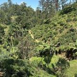 The Pekoe Trail Stage 16: Ella To Demodara, Badulla, Sri Lanka - 74 ...