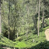 The Pekoe Trail Stage 16: Ella To Demodara, Badulla, Sri Lanka - 74 ...