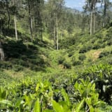 The Pekoe Trail Stage 16: Ella To Demodara, Badulla, Sri Lanka - 74 ...