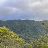 Manoa Cliff Trail, Oahu, Hawaii - 811 Reviews, Map | AllTrails