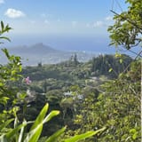 Manoa Cliff Trail, Oahu, Hawaii - 811 Reviews, Map | AllTrails