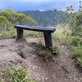 Manoa Cliff Trail, Oahu, Hawaii - 811 Reviews, Map | AllTrails