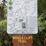 Manoa Cliff Trail, Oahu, Hawaii - 811 Reviews, Map | AllTrails