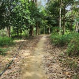 Bukit Liman Kati, Perak, Malaysia - 51 Reviews, Map | AllTrails