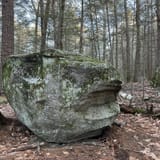 Tully Mountain Loop Trail, Massachusetts - 405 Reviews, Map | AllTrails