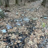 Tully Mountain Loop Trail, Massachusetts - 405 Reviews, Map | AllTrails