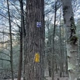 Tully Mountain Loop Trail, Massachusetts - 405 Reviews, Map | AllTrails