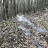 Tully Mountain Loop Trail, Massachusetts - 405 Reviews, Map | AllTrails