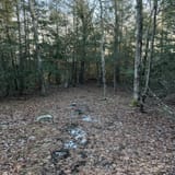 Tully Mountain Loop Trail, Massachusetts - 405 Reviews, Map | AllTrails