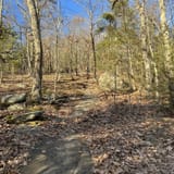 Tully Mountain Loop Trail, Massachusetts - 405 Reviews, Map | AllTrails