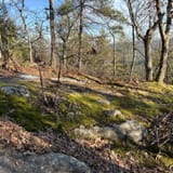 Tully Mountain Loop Trail, Massachusetts - 405 Reviews, Map | AllTrails