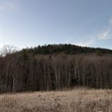Tully Mountain Loop Trail, Massachusetts - 432 Reviews, Map | AllTrails