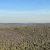 Tully Mountain Loop Trail, Massachusetts - 417 Reviews, Map | AllTrails
