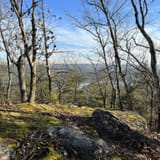 Tully Mountain Loop Trail, Massachusetts - 417 Reviews, Map | AllTrails
