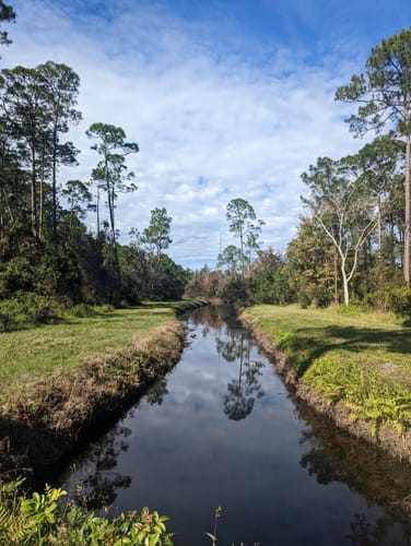 Best Hikes and Trails in Lake Lizzie Conservation Area | AllTrails