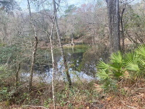 Best Hikes and Trails in Twin Rivers Wildlife Management Area | AllTrails