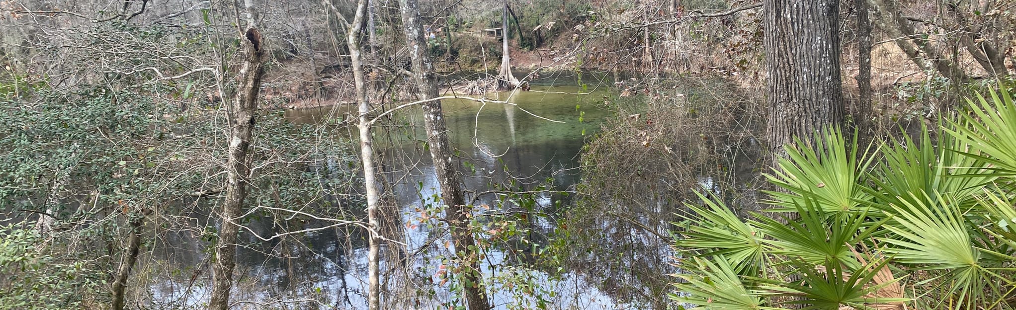 McCulley's Farm Trail: 94 Reviews, Map - Florida | AllTrails