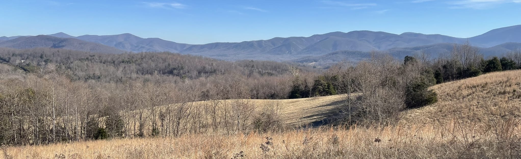 Skyline Trail Loop, Virginia - 56 Reviews, Map | AllTrails