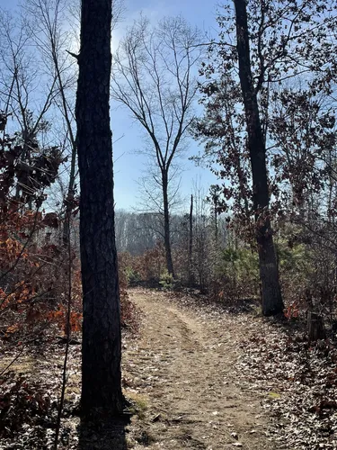 Best Hikes and Trails in Wharton Brook State Park | AllTrails