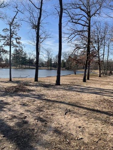 Best Hikes and Trails in Wharton Brook State Park | AllTrails