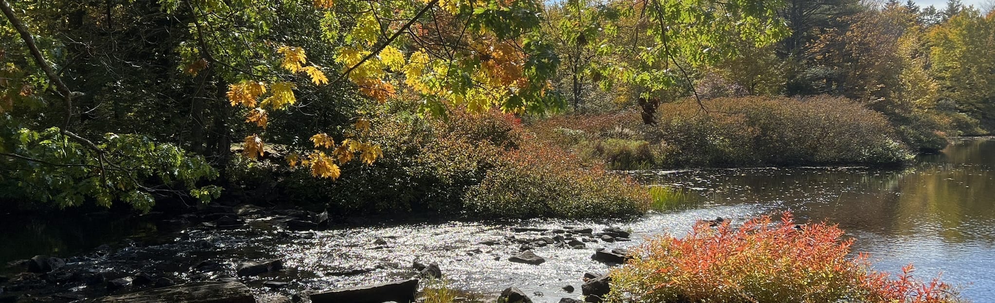 Riverbrook River Loop Trail, Maine - 27 Reviews, Map | AllTrails