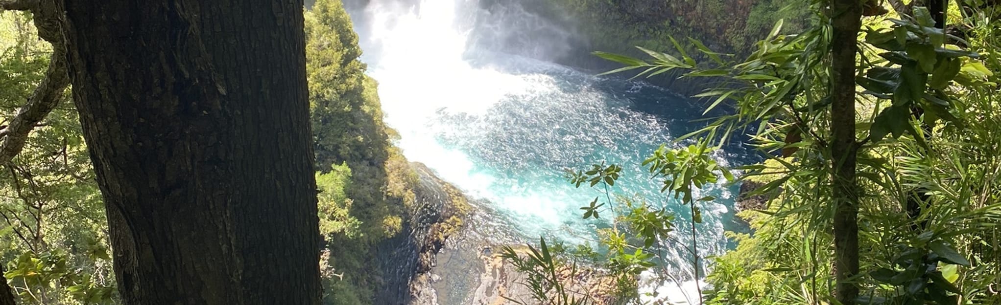 Sendero Huilo Huilo- Puma, Los Ríos, Chile - Map, Guide | AllTrails