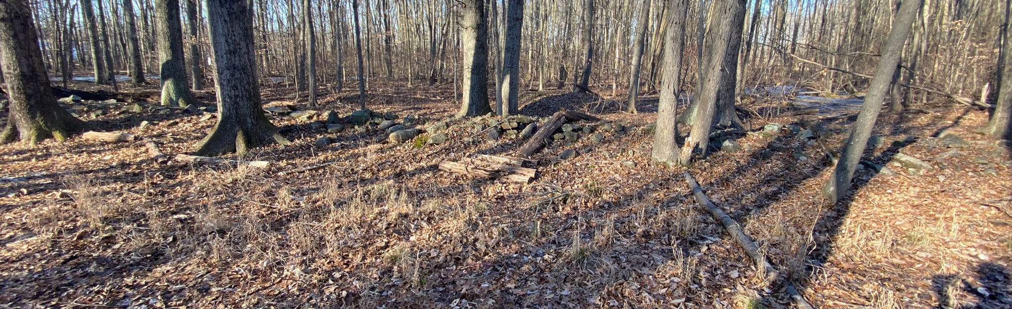 Brownstein Red, Yellow, and Blue Trail Loop, New Jersey - 13 Reviews ...