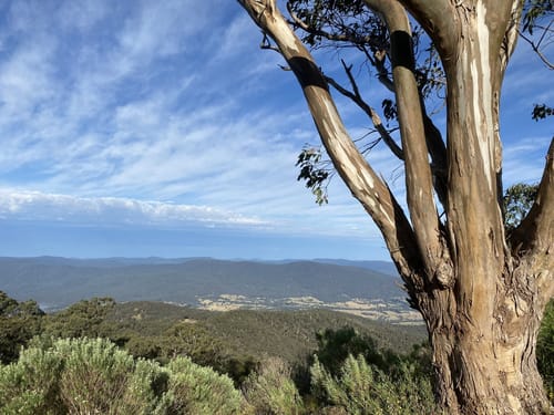 Best Hikes and Trails in Mount Samaria State Park | AllTrails