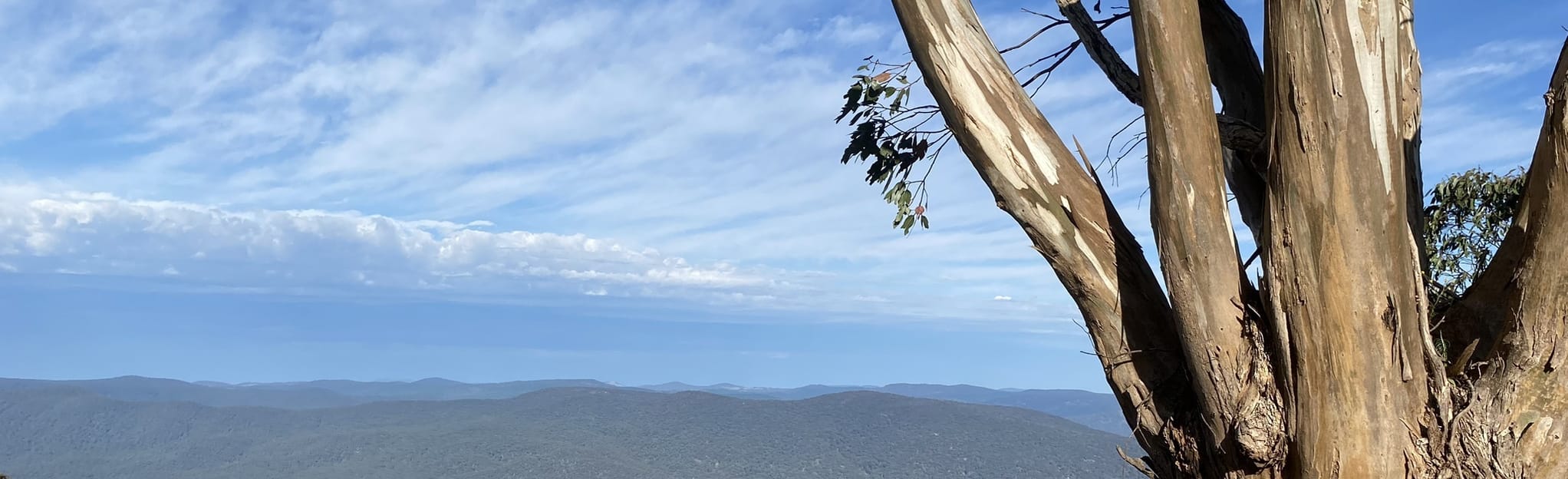 Mount Samaria Summit Loop: 25 Reviews, Map - Victoria, Australia ...