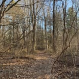 Mooween State Park Loop , Connecticut - 387 Reviews, Map | AllTrails
