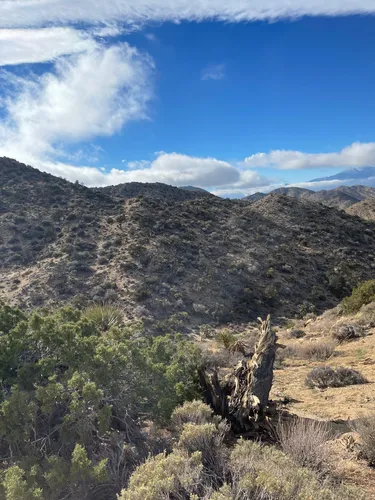 10 Best Trails and Hikes in Yucca Valley | AllTrails
