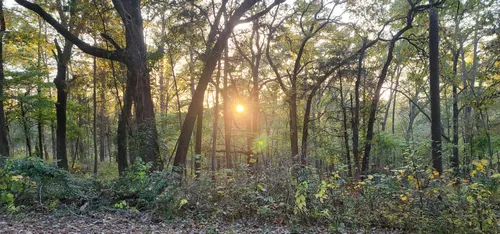 Best Hikes and Trails in Tyler State Park | AllTrails