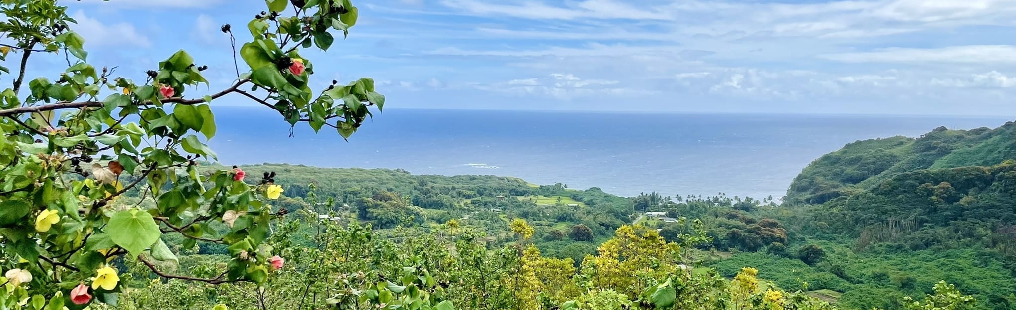 Road to Hana Scenic Drive: 98 foto - Maui, Hawaii | AllTrails