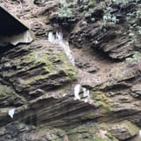 Kitsuma and Point Lookout Loop, North Carolina - 231 Reviews, Map ...