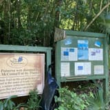 Magens Bay Beach Trail, Saint Thomas, US Virgin Islands - 307 Reviews ...