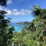 Magens Bay Beach Trail, Saint Thomas, US Virgin Islands - 307 Reviews ...