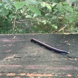 Magens Bay Beach Trail, Saint Thomas, US Virgin Islands - 307 Reviews ...