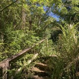 Magens Bay Beach Trail, Saint Thomas, US Virgin Islands - 307 Reviews ...