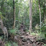 Magens Bay Beach Trail, Saint Thomas, US Virgin Islands - 307 Reviews ...