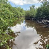 Magens Bay Beach Trail, Saint Thomas, US Virgin Islands - 307 Reviews ...