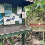 Magens Bay Beach Trail, Saint Thomas, US Virgin Islands - 307 Reviews ...