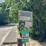 Magens Bay Beach Trail, Saint Thomas, US Virgin Islands - 307 Reviews ...